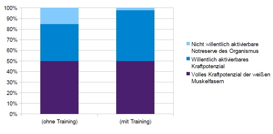 Maximalkrafttraining - Wie Kraftaufbau wirklich funktioniert