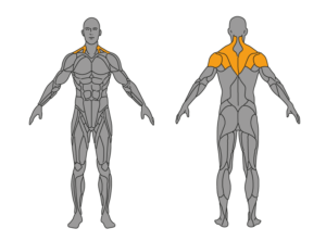 ᐅ Butterfly Reverse - Ausführung mit Bildern und Video!