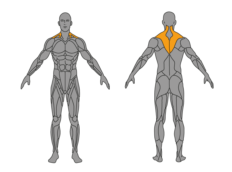 ᐅ Nacken dehnen - Übungen mit Bildern und Videos!