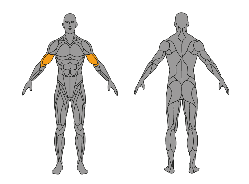 ᐅ Scottcurls mit der SZ-Stange - Ausführung mit Bildern und Video!